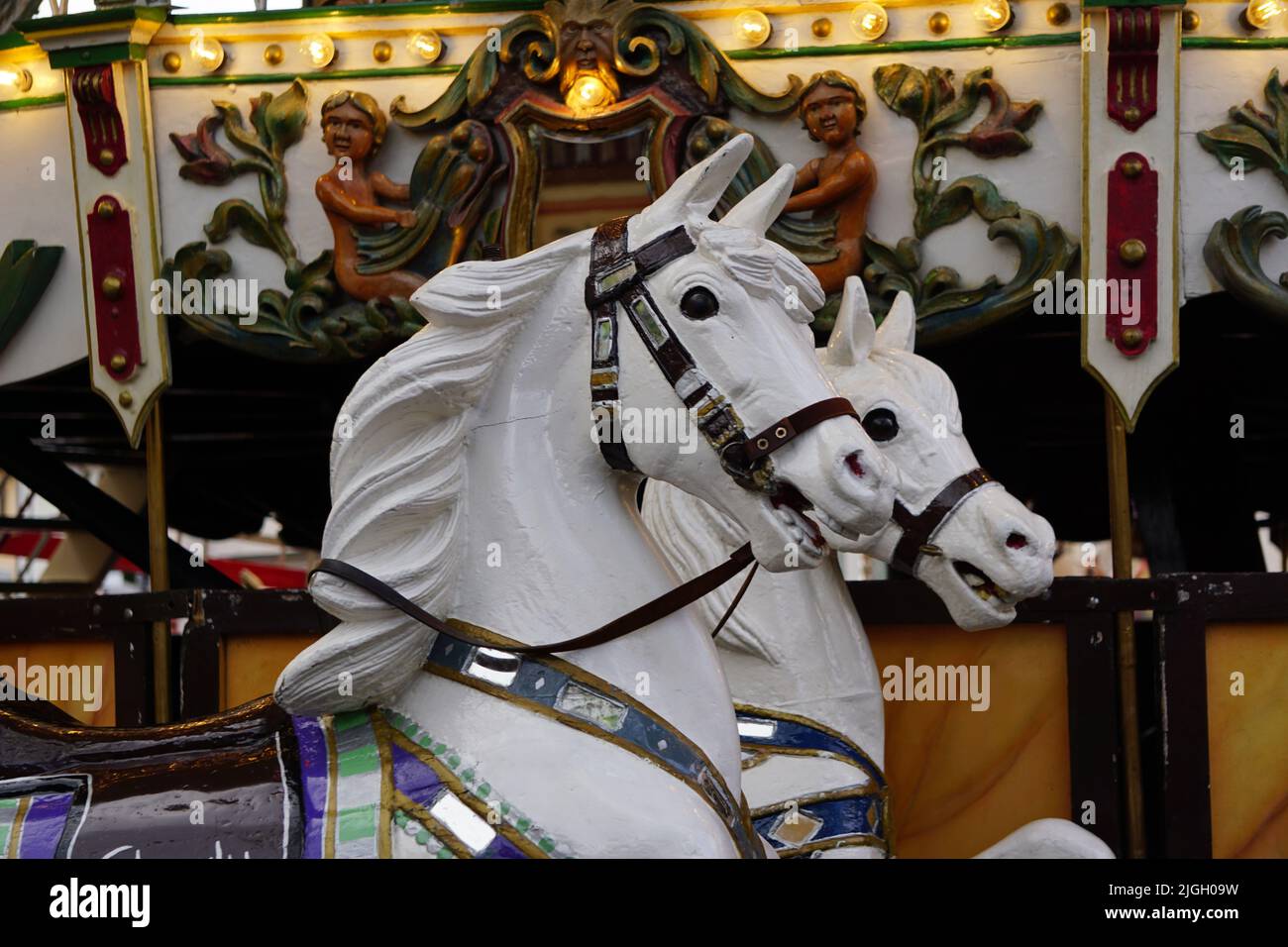 Two white carousel horses in an amusement park with beautiful ...