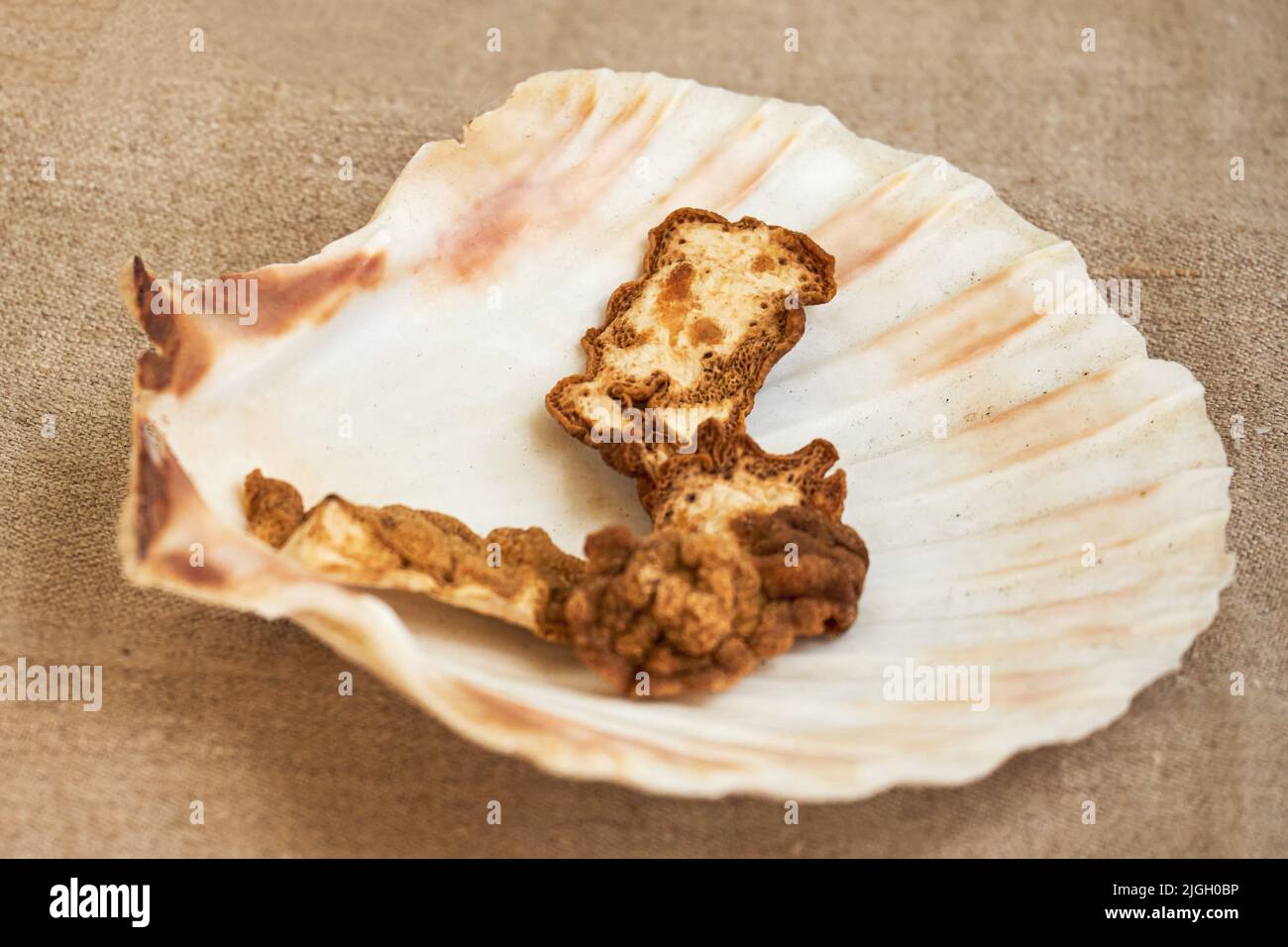 Ancient Roman cosmetics, retro perfume and vintage bath accessories ...