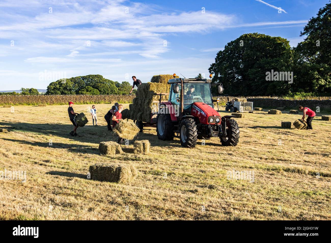 Collecting up traditional, small hay bales at Long Preston, North ...