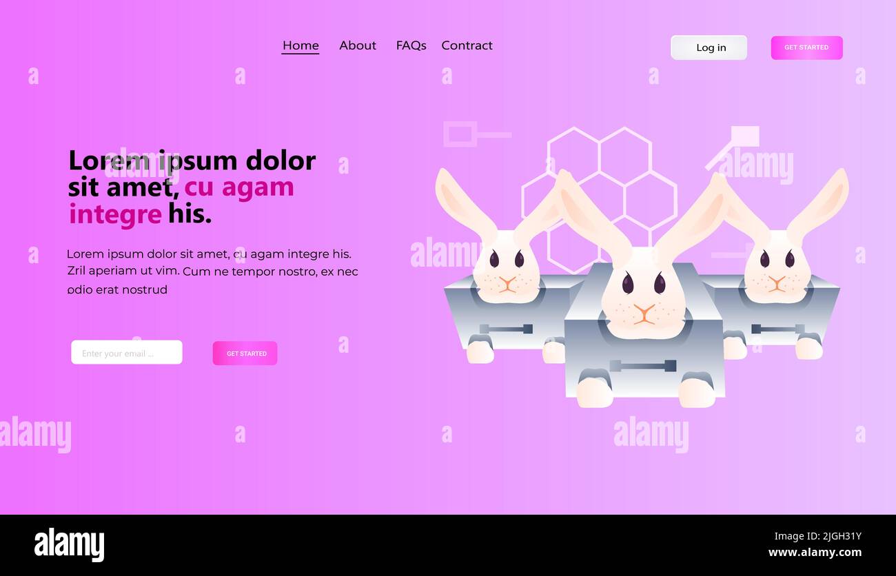 experimental rabbits biological genetic engineering research concept ...