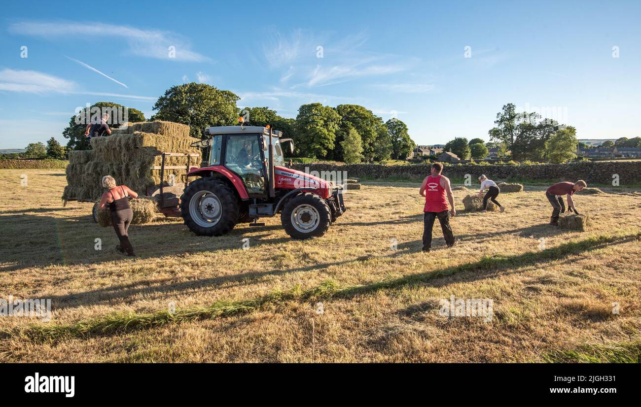 Collecting up traditional, small hay bales at Long Preston, North ...
