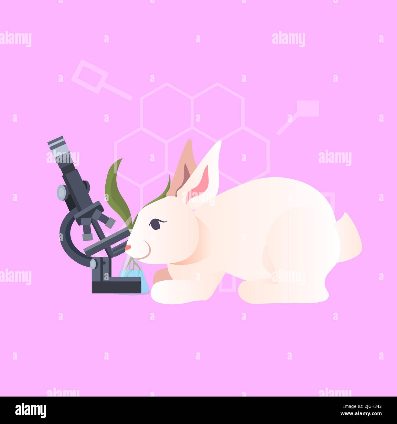 experimental rabbit near microphone biological genetic engineering ...