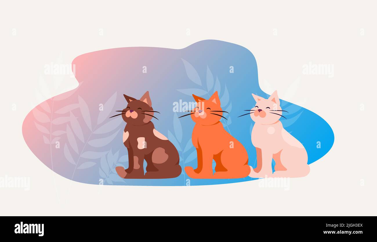 cute cats fluffy adorable cartoon animals domestic kitty home pets ...