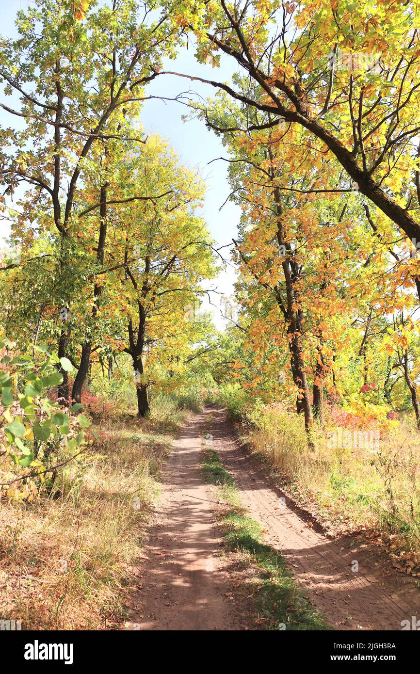 Calm fall season. Beautiful landscape with road in autumn forest ...