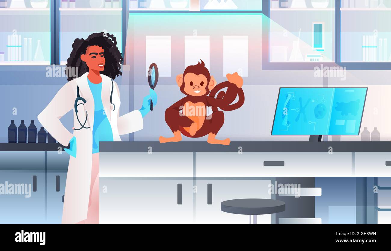 scientist doing experiments in lab woman veterinary worker with ...