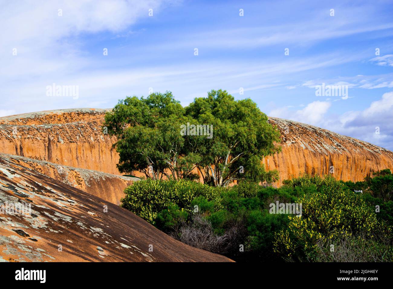 Pildappa australia hi-res stock photography and images - Alamy