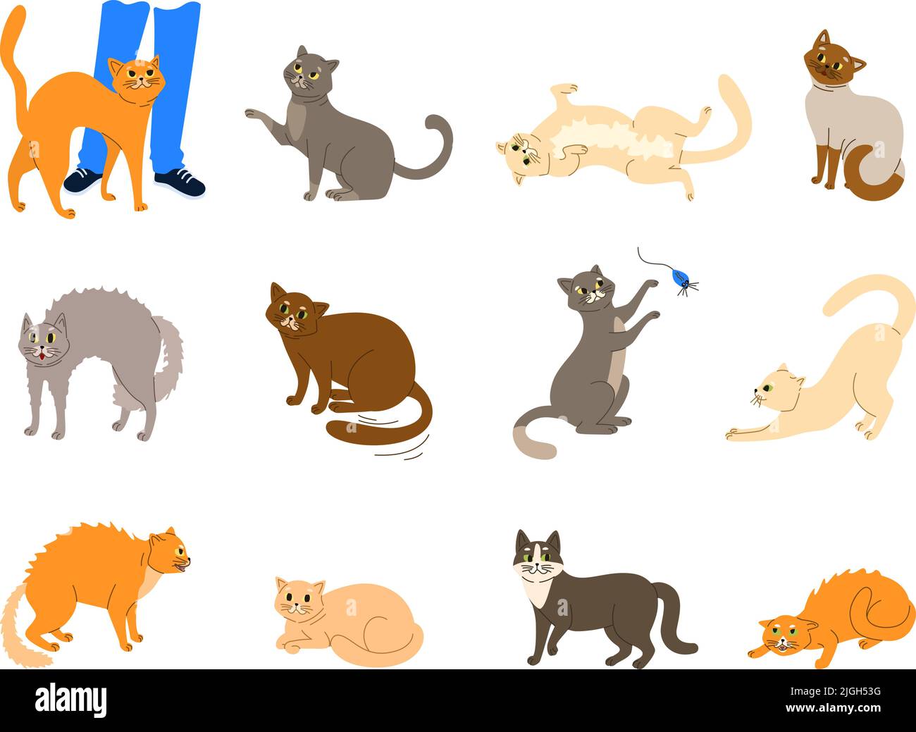 Cats emotions body language set flat isolated vector illustration Stock ...