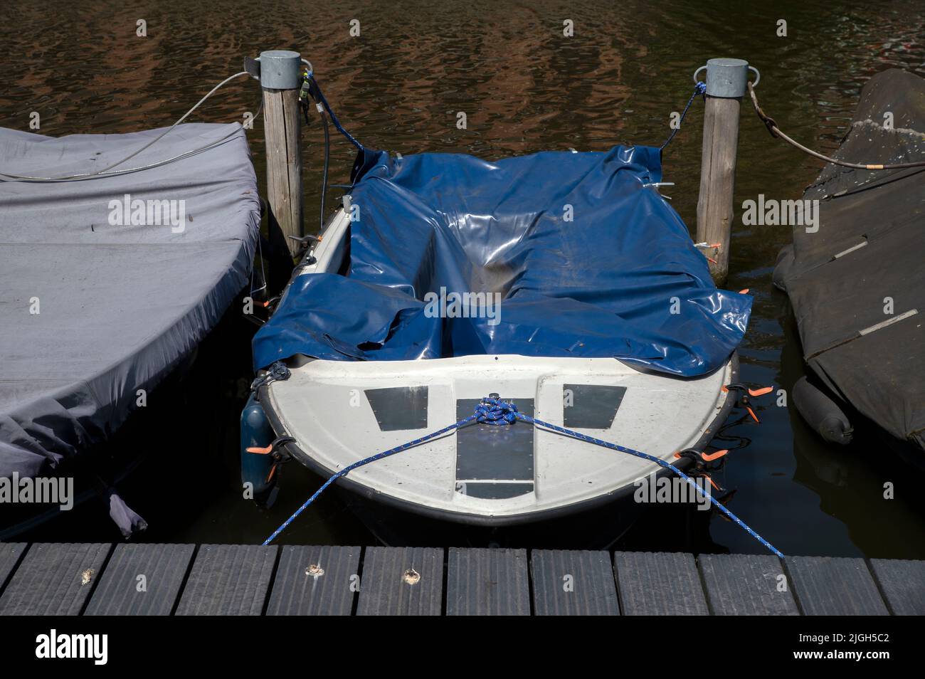 Small backside hi-res stock photography and images - Alamy