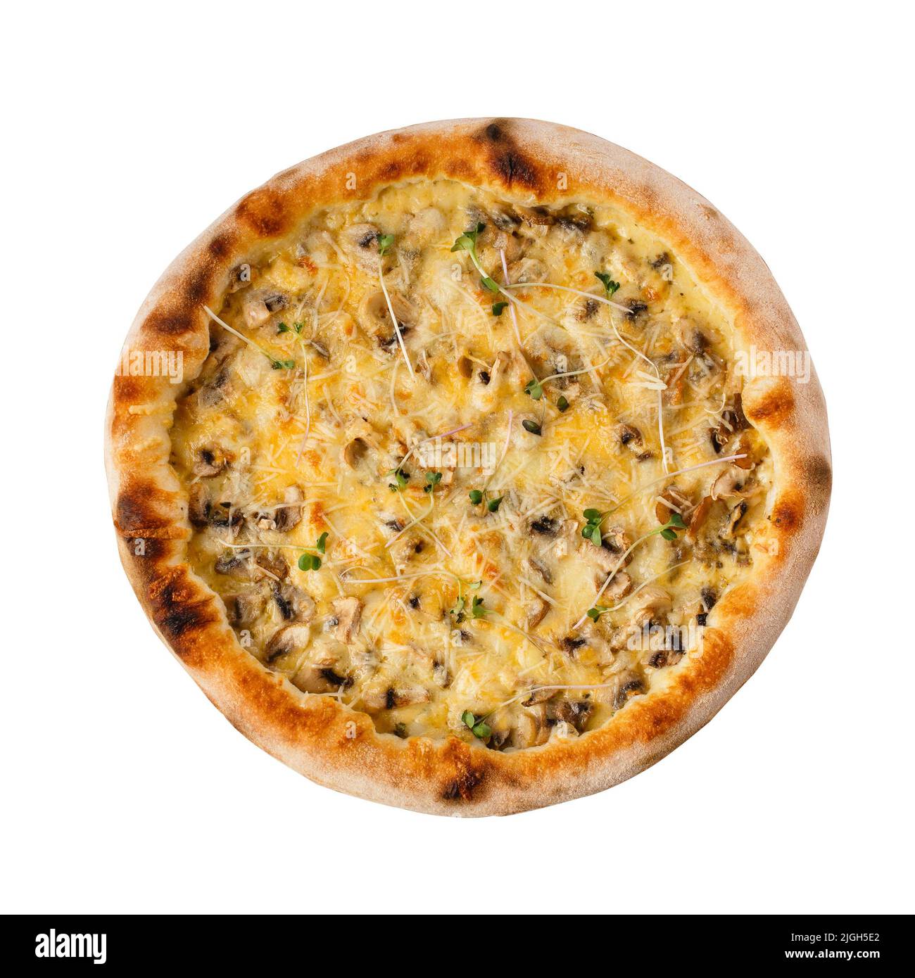 Top view closeup fungi Cut Out Stock Images & Pictures - Alamy