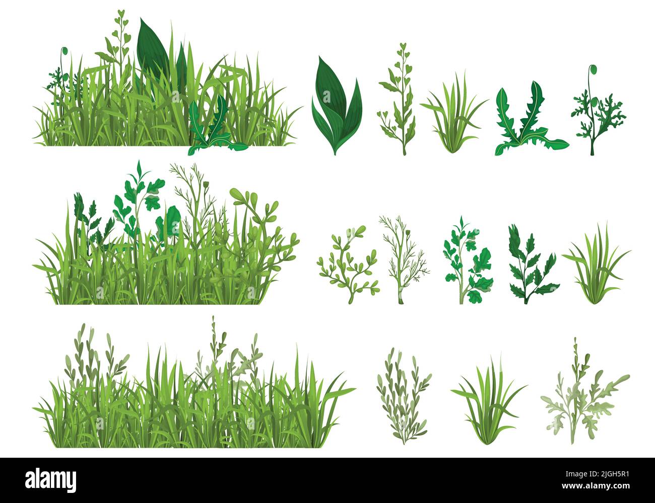 Other vegetation Stock Vector Images - Alamy