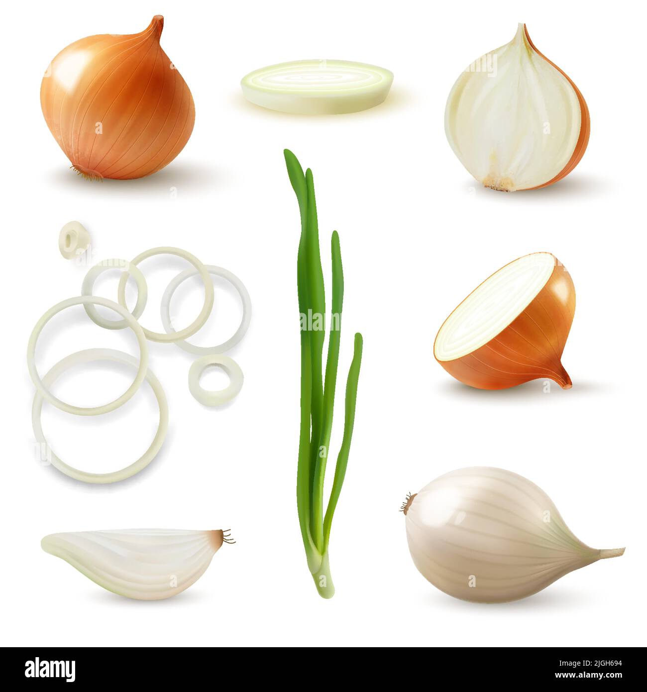 Realistic fresh yellow onion set with whole unpeeled peeled sliced ...