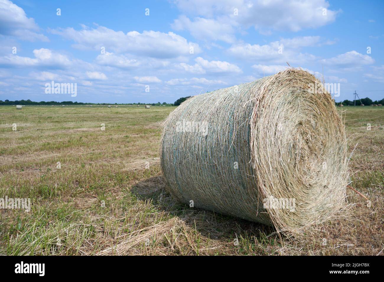 Preparation round hi-res stock photography and images - Alamy