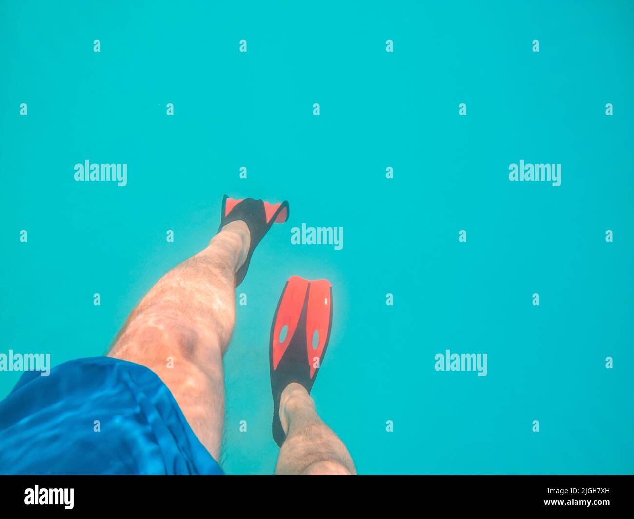 men legs in flippers underwater sea bottom Stock Photo - Alamy
