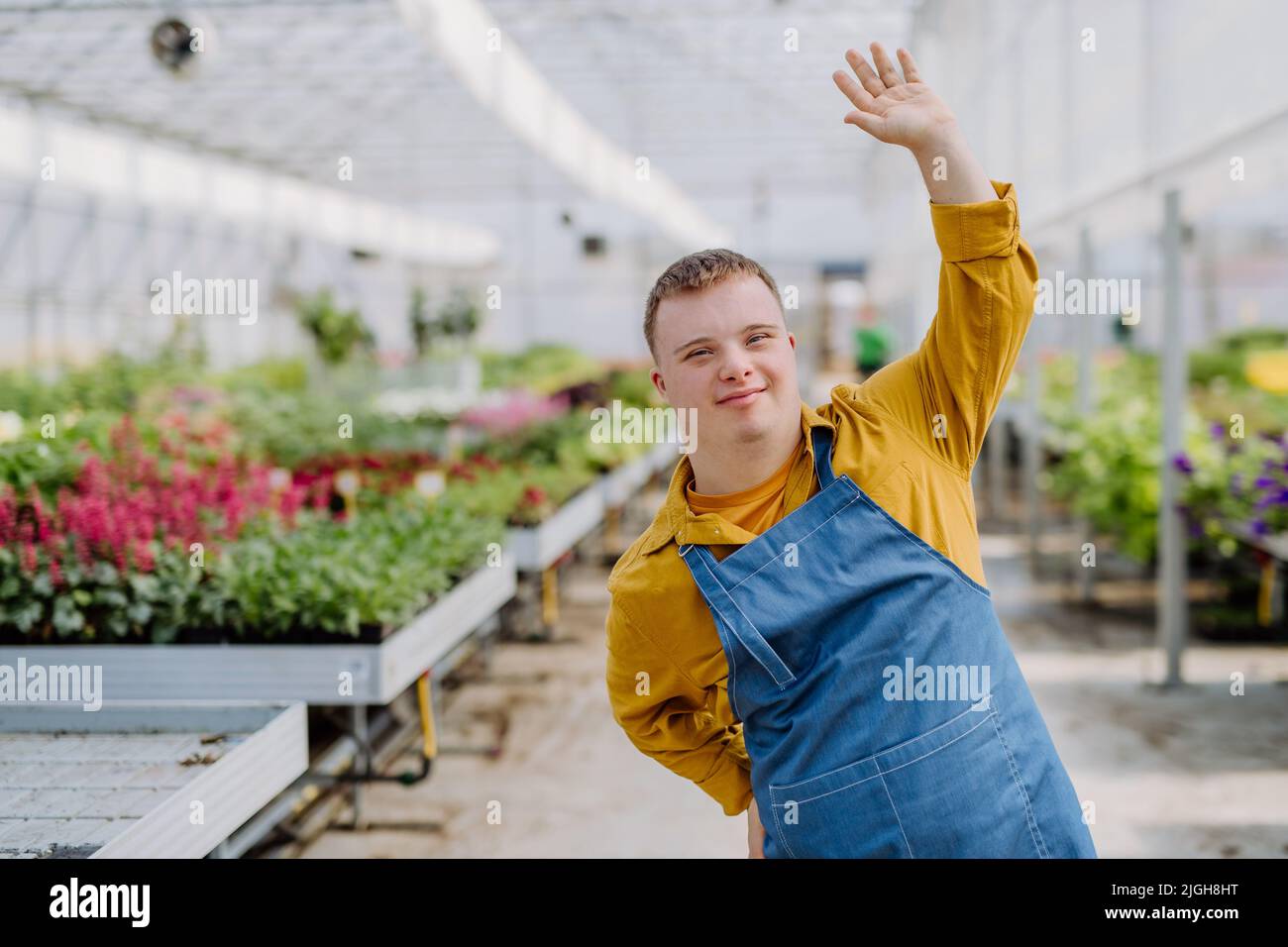 Young employee with Down syndrome working in garden centre, looking at ...