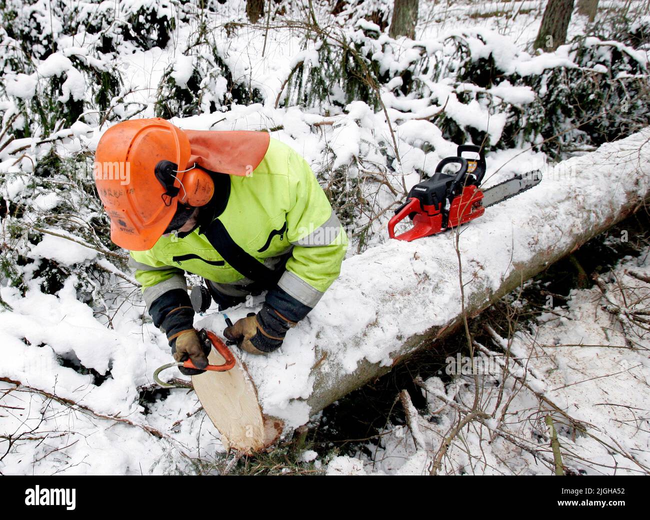 Forest workers in a winter forest Stock Photo - Alamy