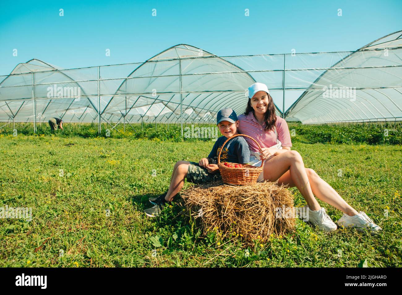 mother with son at strawberry farm gathering vitamins Stock Photo - Alamy