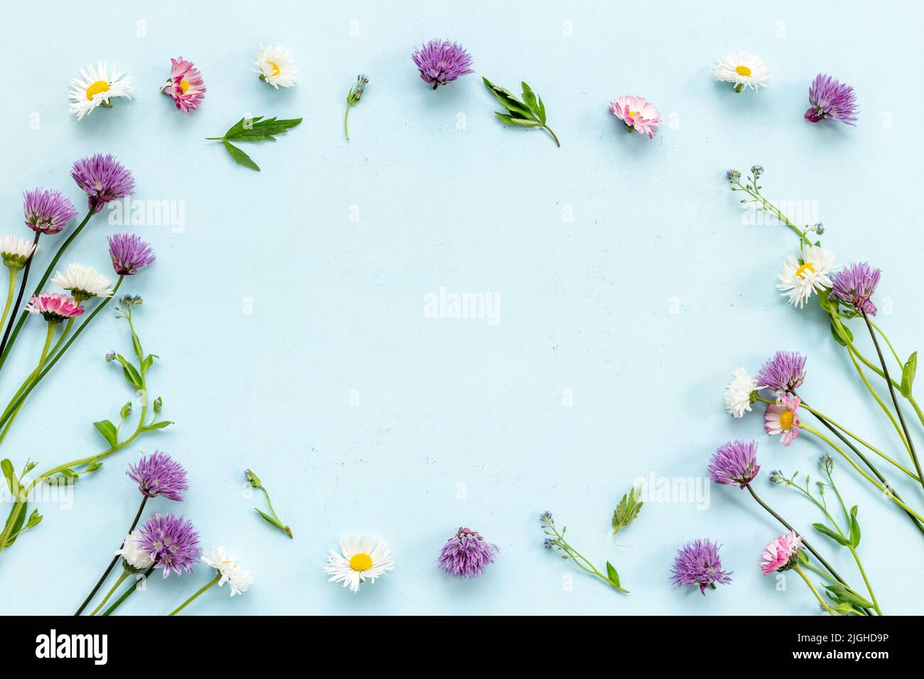 Wild meadow flowers chamomile cornflower and ranunculus. Summer floral ...