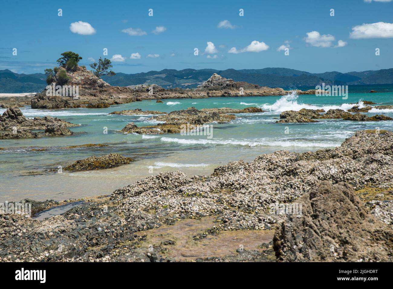 Kuaotunu beach hi-res stock photography and images - Alamy