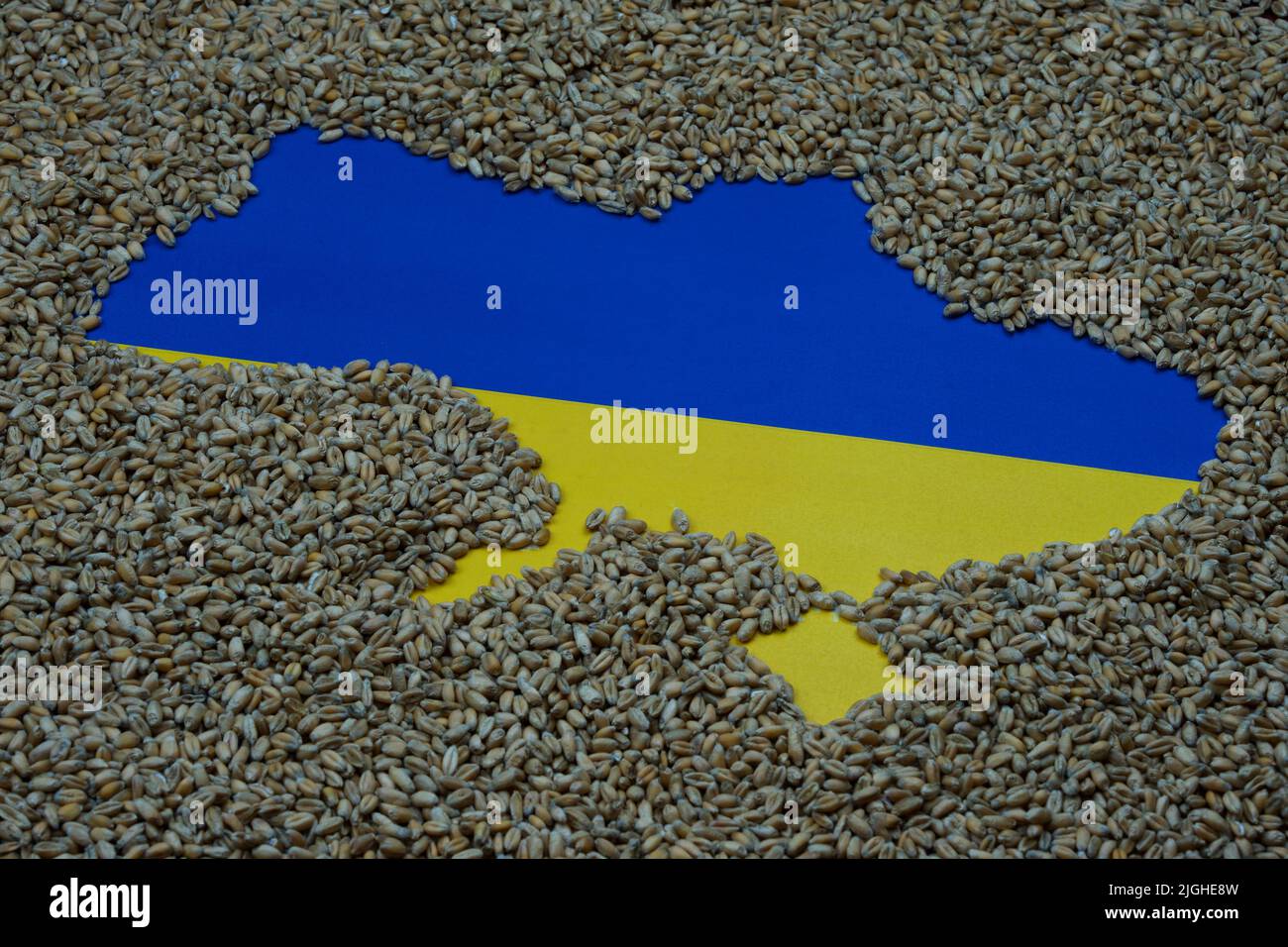Ukraine's map attached with wheat grains around Stock Photo - Alamy