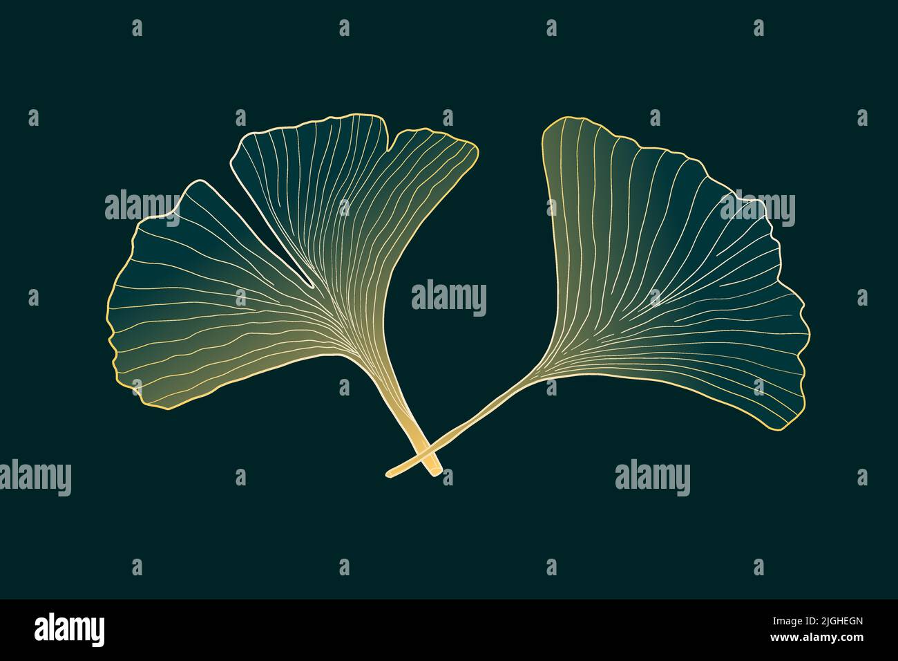 Ginkgo biloba leaves. Japanese theme, wabi sabi style. Simple gingko leaf digital art Stock ...