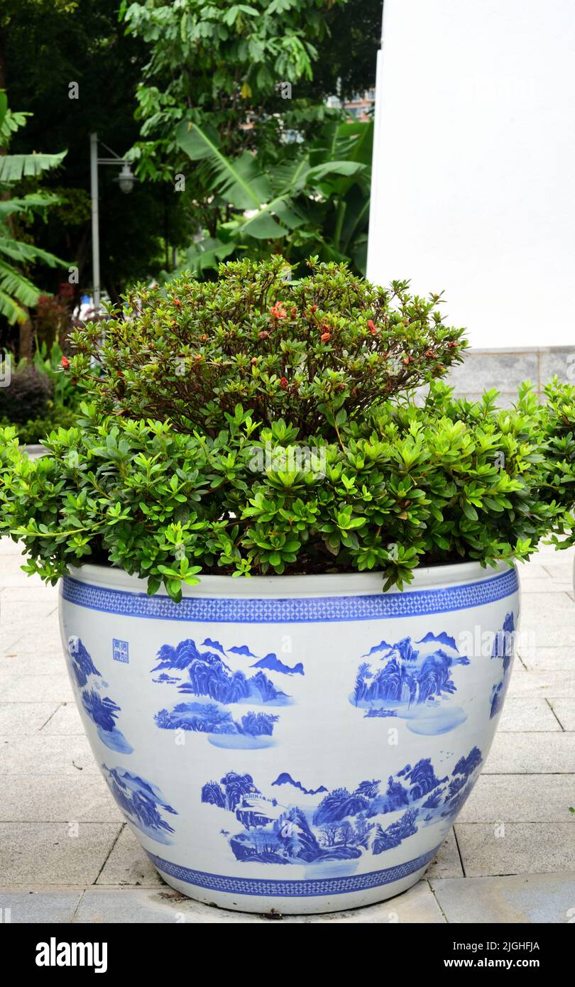 Chinese style ceramic planter outdoor Stock Photo - Alamy