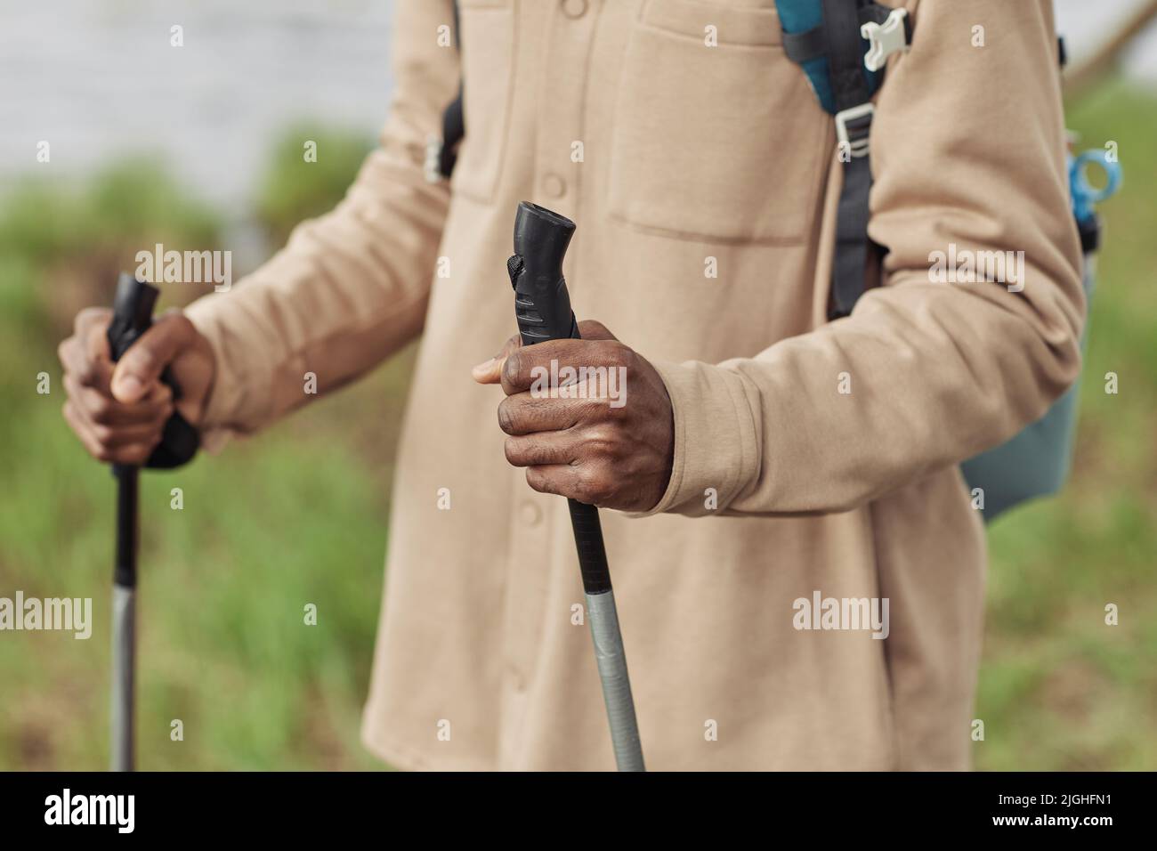 African walking stick hi-res stock photography and images - Alamy