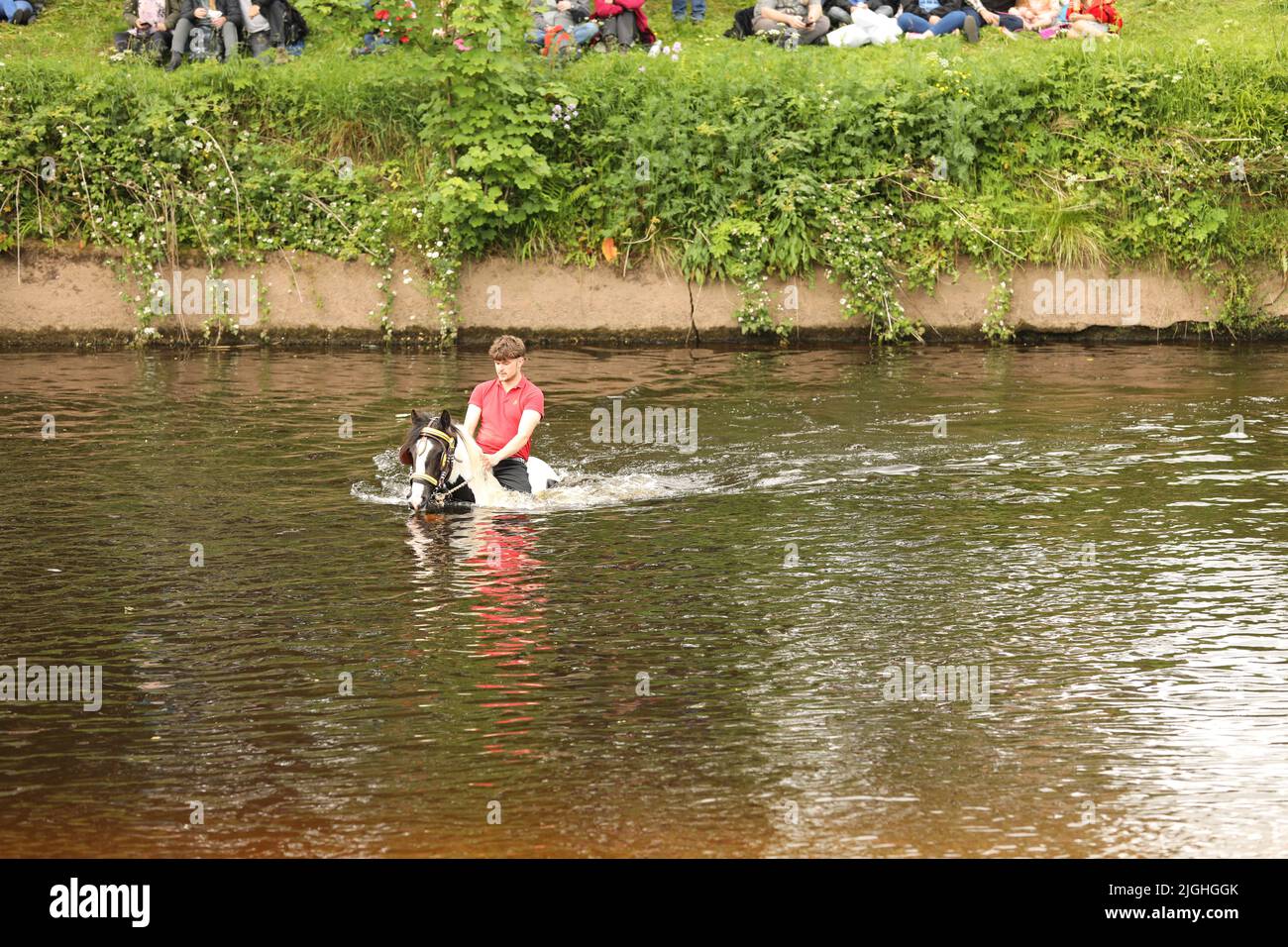 A young adult male riding his horse through the River Eden, Appleby ...