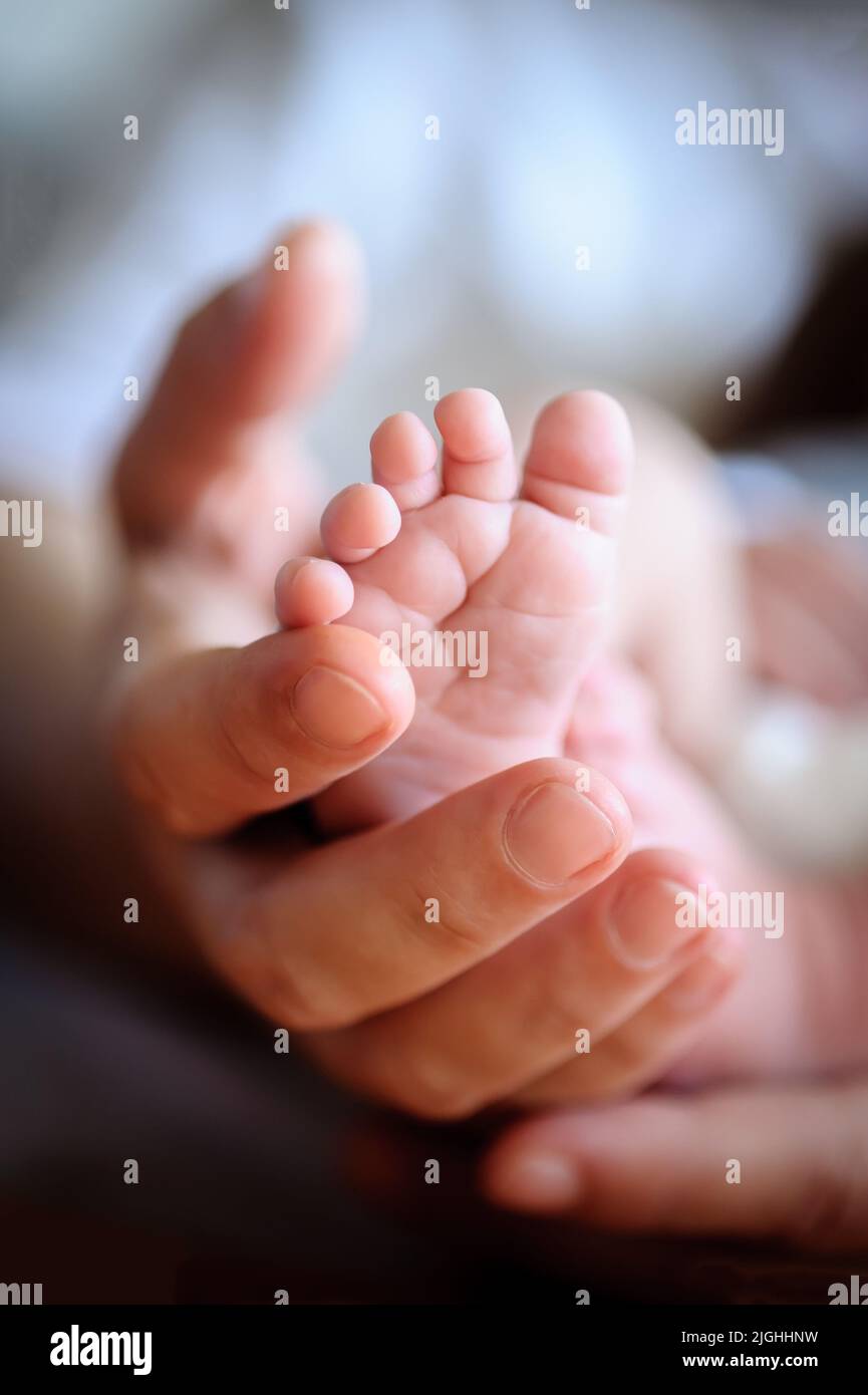 Close-up detail of mother holding cute and soft baby small leg in her ...