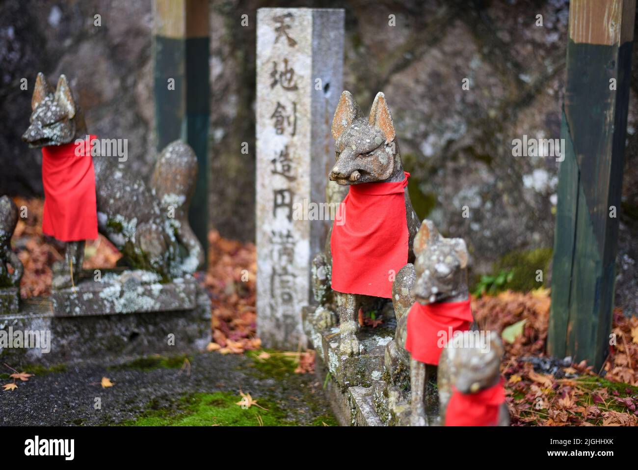 A beautiful shot of stone fox statues in Fushimi Inari shrine cemetery ...