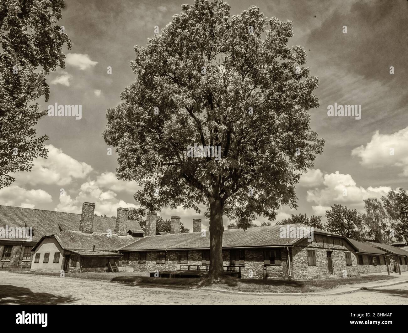 Oświęcim, Poland - June, 2019: Block of houses in concentration camp in ...