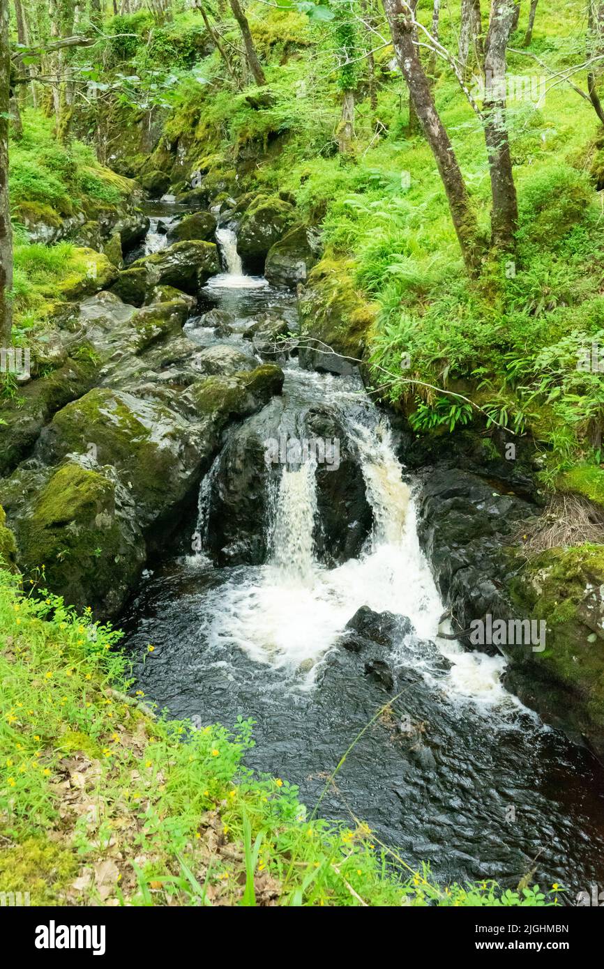 Waterfall in Wood of Cree, near Newton Stewart in Dumfries & Galloway ...