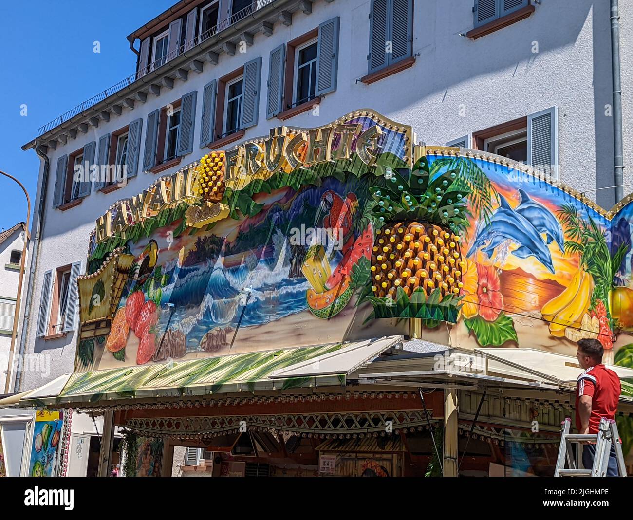 A worker standing on a ladder and preparing the fruit stall for a ...