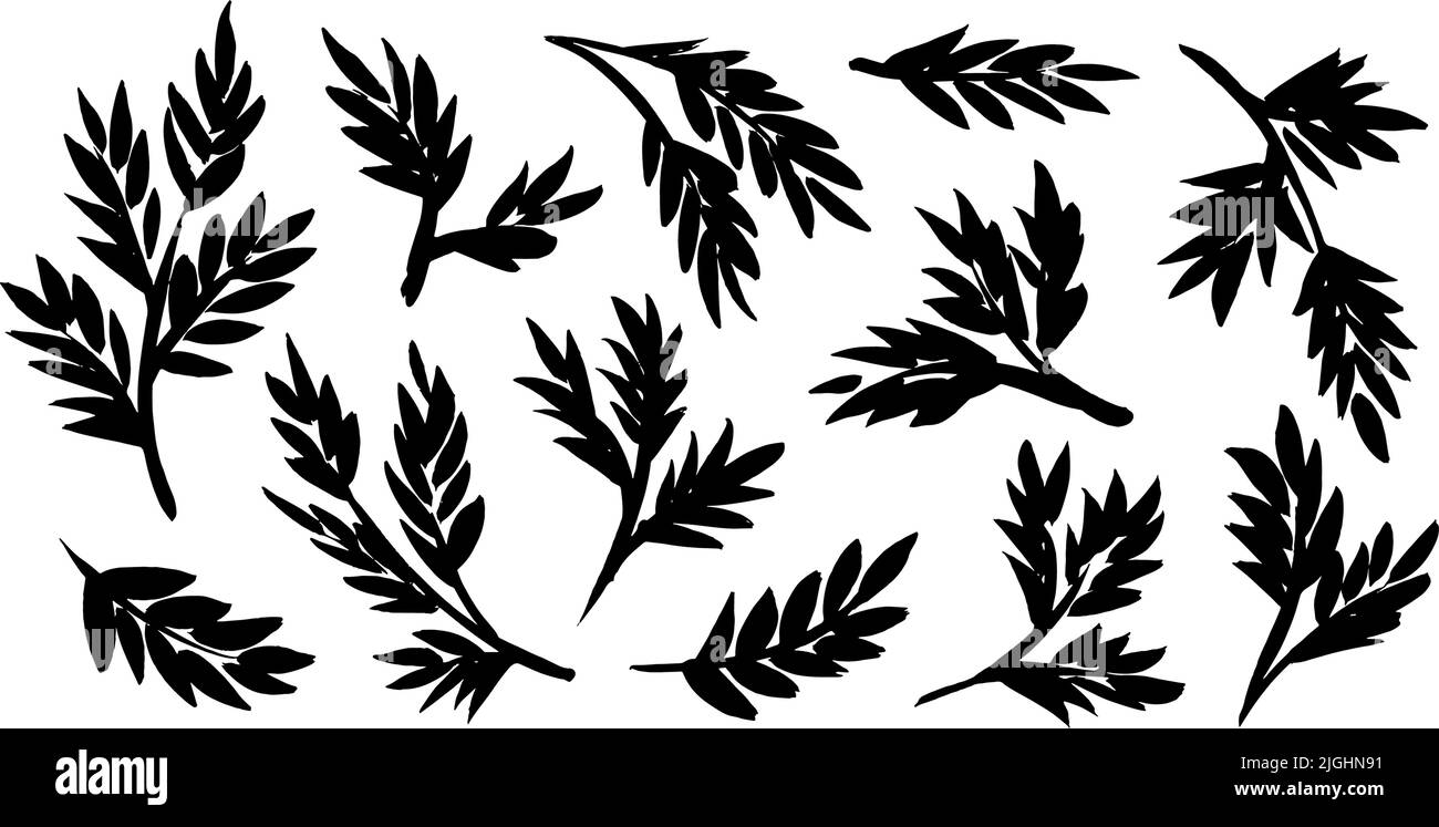 Rustic decorative plants, leaves and branches set Stock Vector Image ...