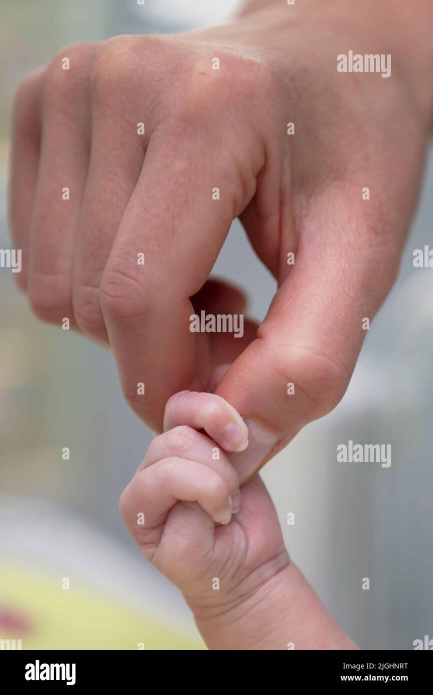 The hand of an adult holds the hand of a newborn child Stock Photo - Alamy