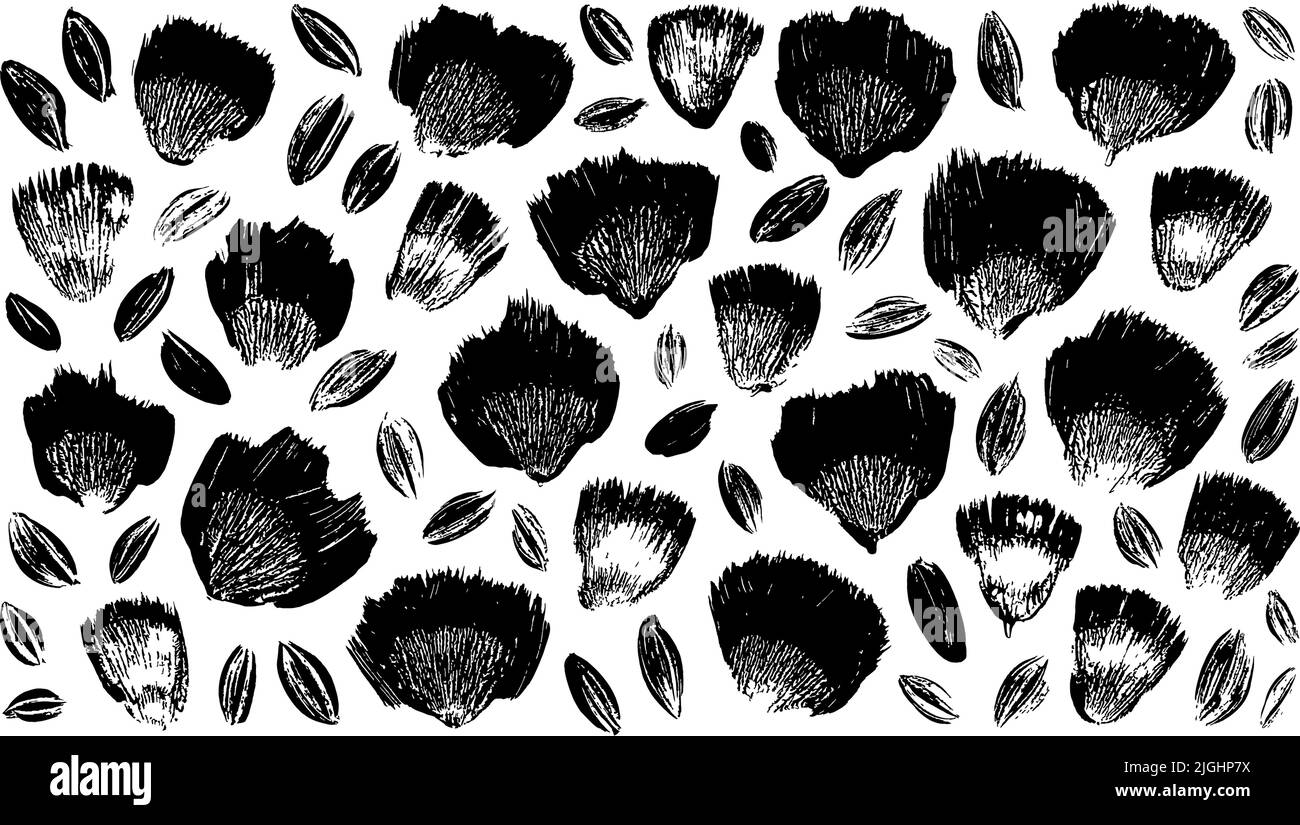 Spring blossom hand drawn Cut Out Stock Images & Pictures - Alamy