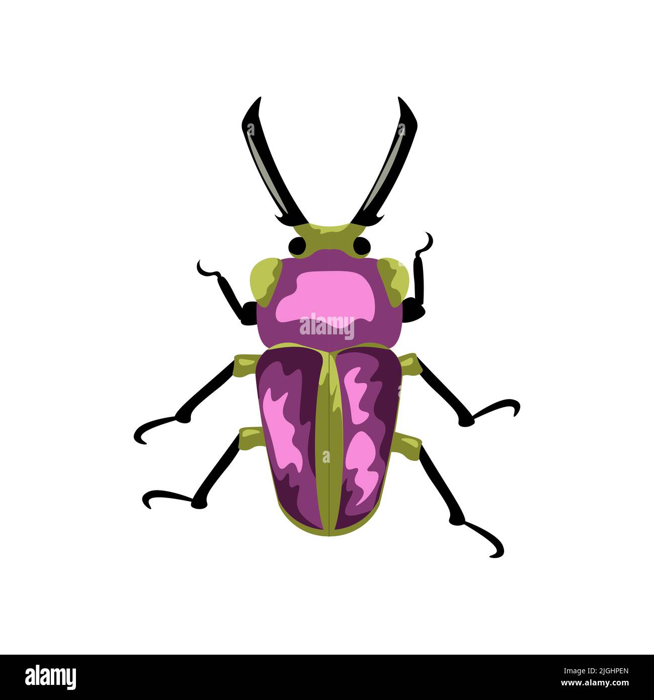 Red beetle top view isolated on a white background. Flat Art Vector ...