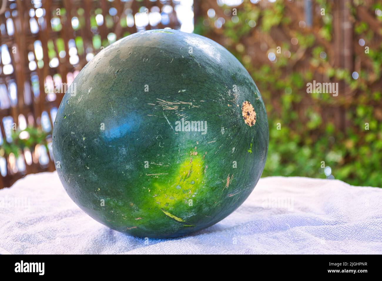 ripe red sweet watermelon from Greece, on the table Stock Photo - Alamy
