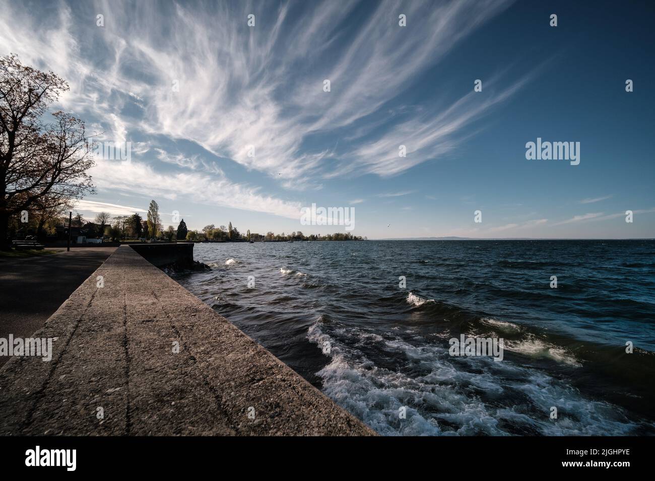 An aerial view of lake waves breaking beach surrounded by growing trees ...
