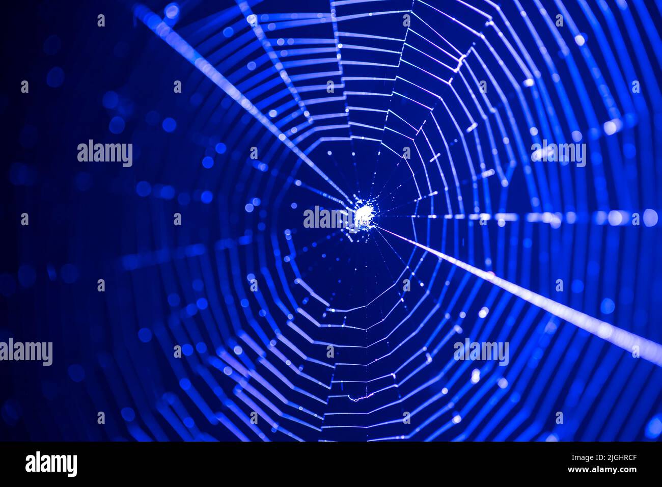 Beautiful web illuminated by blue light. Internet concept Stock Photo ...