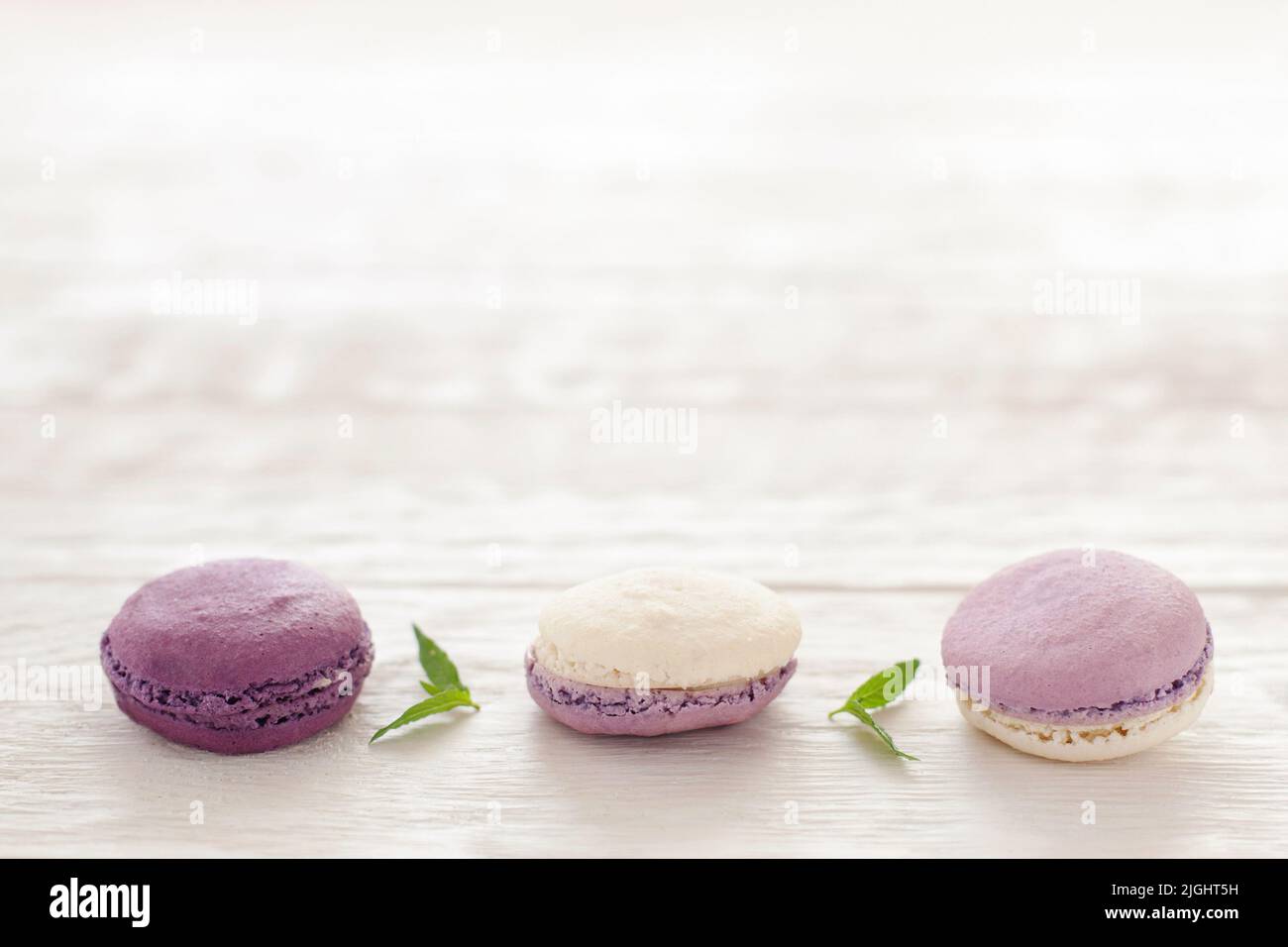 French purple macaroons horizontal line copyspace. Sweet macaroons put ...