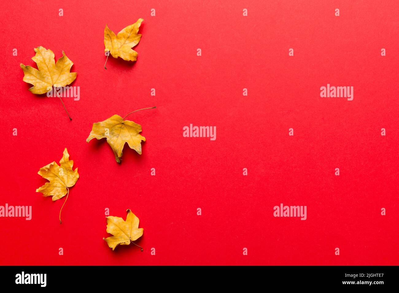 Autumn composition. Pattern made of dried leaves and other design ...