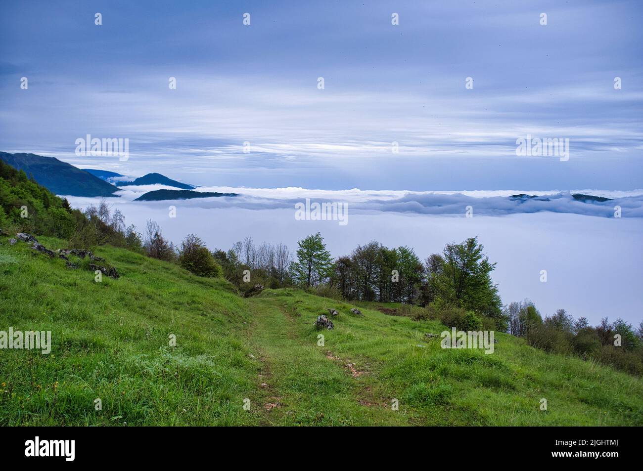 mountain path surrounded by greenery above the clouds Stock Photo - Alamy