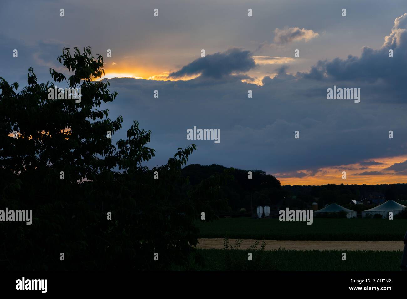 Foreground trees hi-res stock photography and images - Alamy