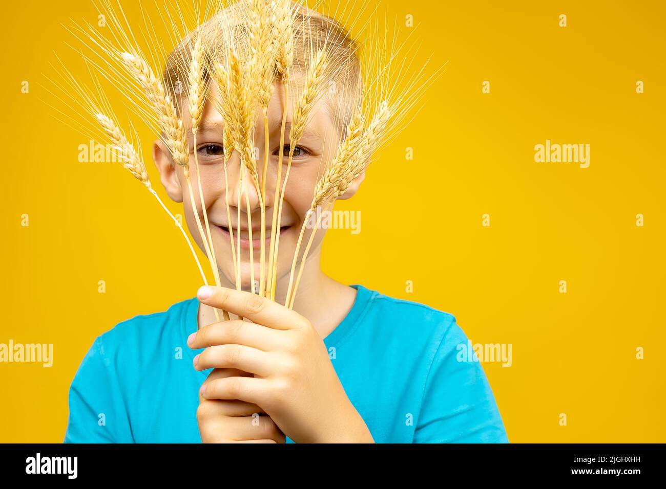 in front of the boy's face Ears of wheat that he holds in his hands ...
