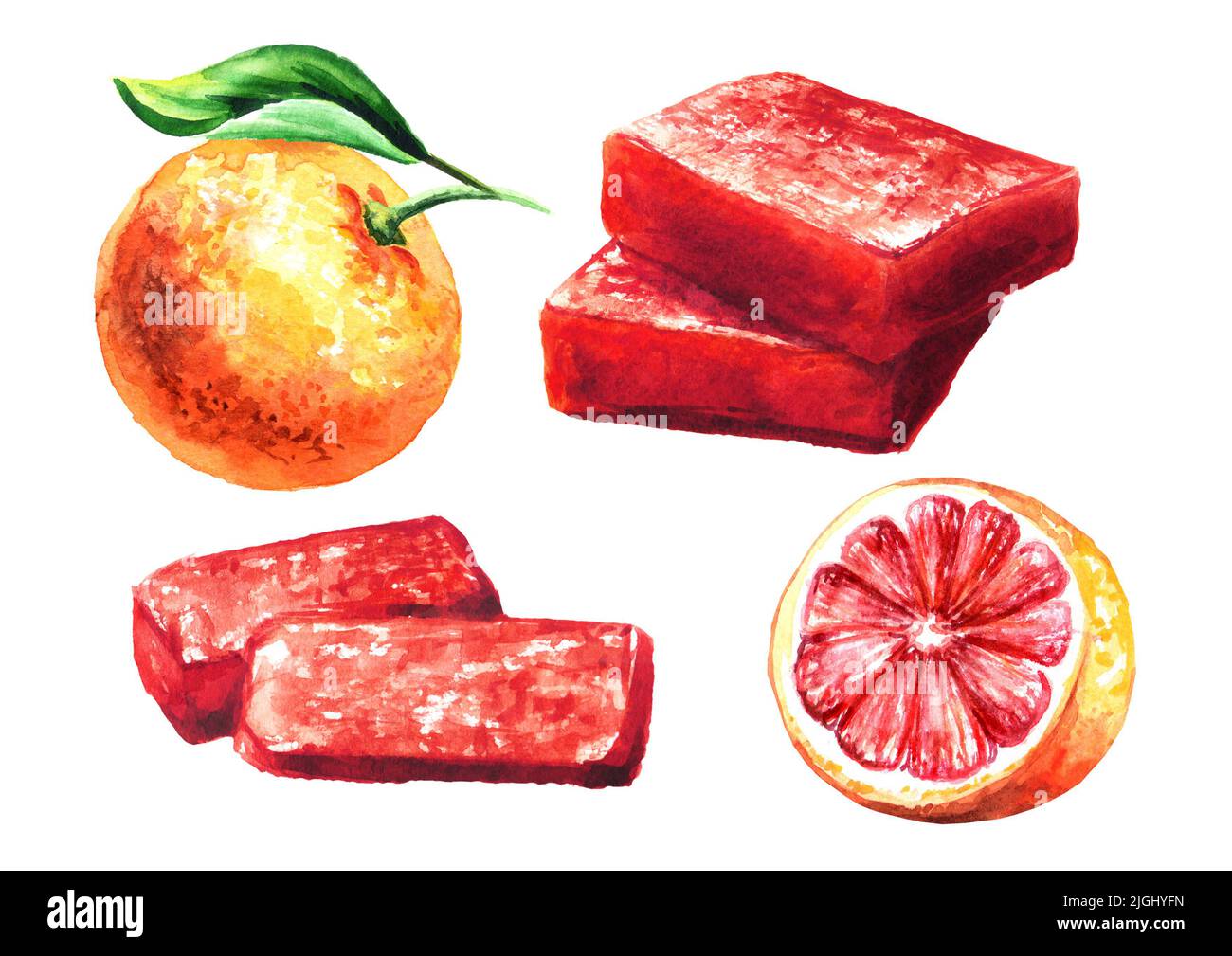 Homemade Grapefruit marmalade, jam, jelly set. Hand drawn watercolor ...