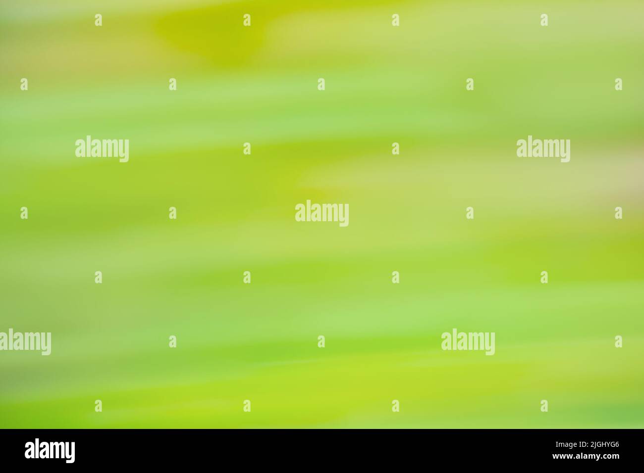 Abstract green gradient effect blurred colorful backdrop. Soft gradient background Stock Photo ...