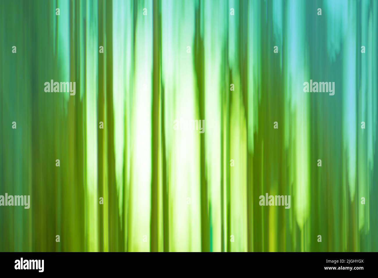 Defocus blurred greenery abstract leafs wallpaper Stock Photo - Alamy