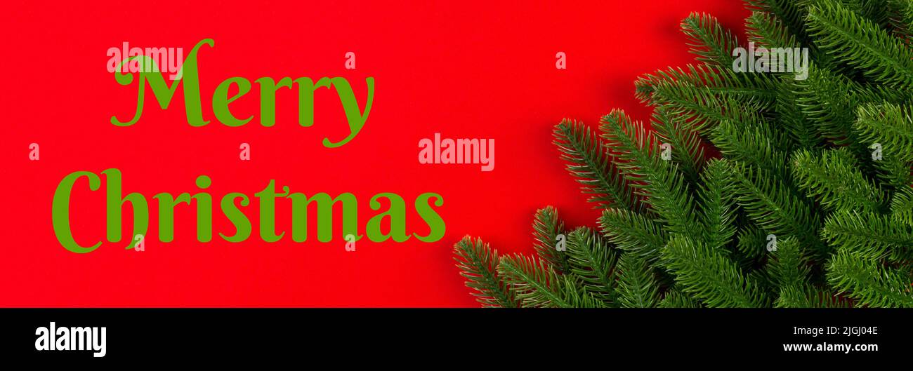 Merry Christmas text. Top view Banner of green fir tree branches on ...