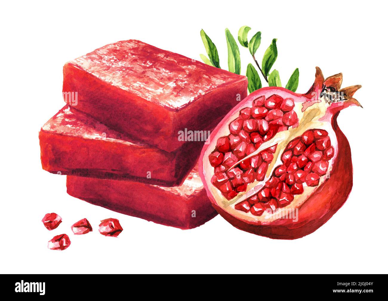 Homemade Pomegranate marmalade, jam, jelly. Hand drawn watercolor ...