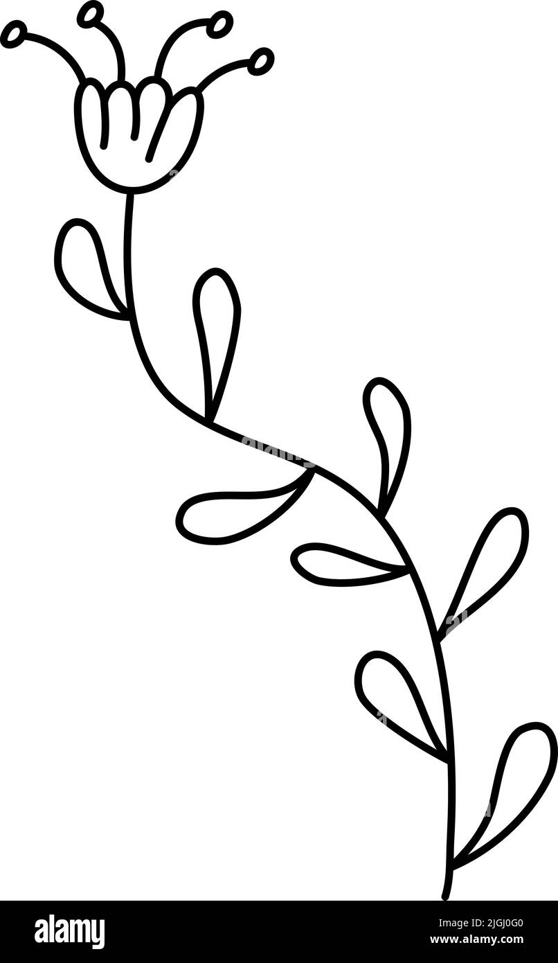 Flower vector simple botanical illustration, line artwork, minimal ...